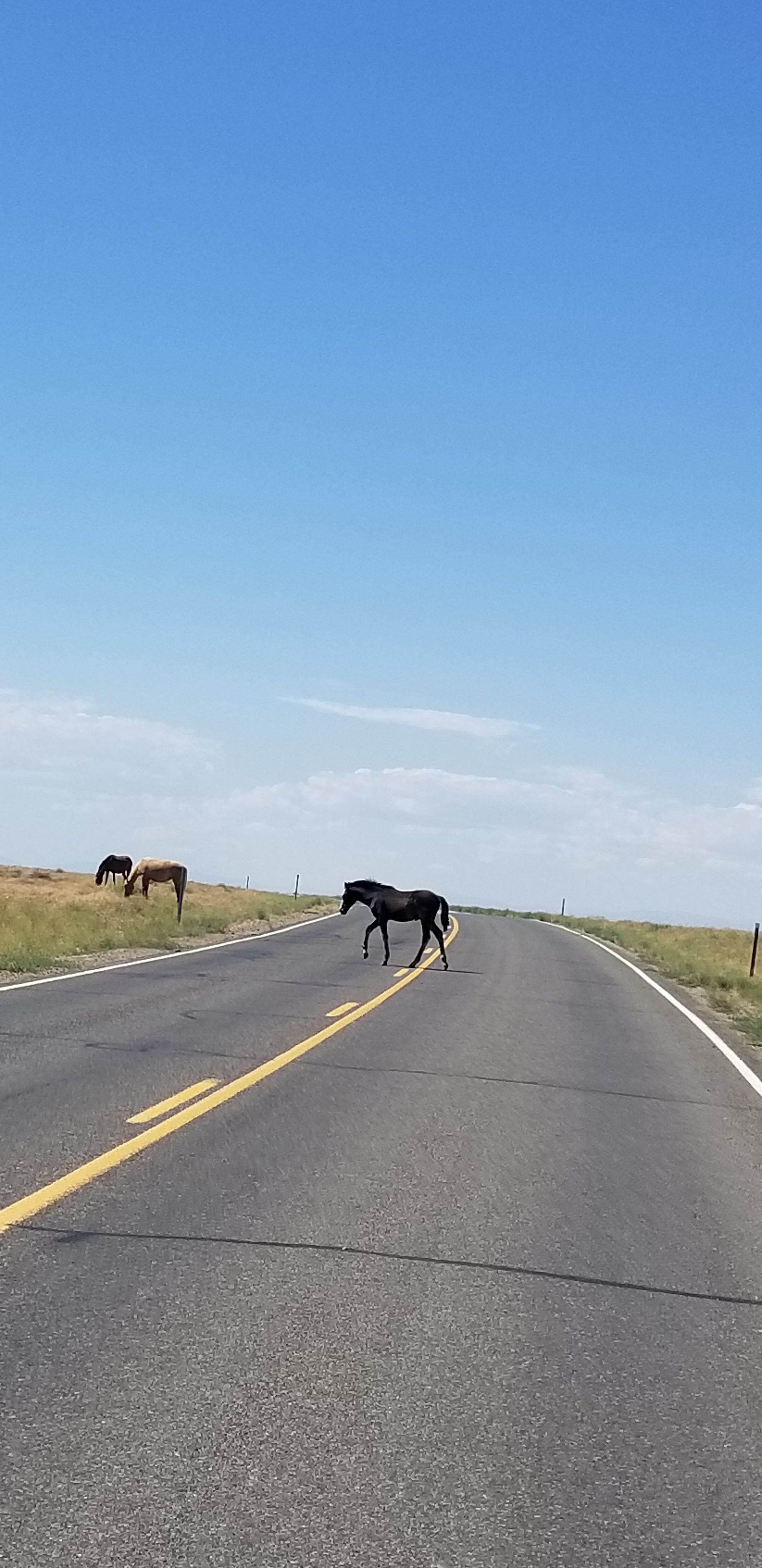 20 Fun Things To Do In Vernal Utah For Families – Planning Away