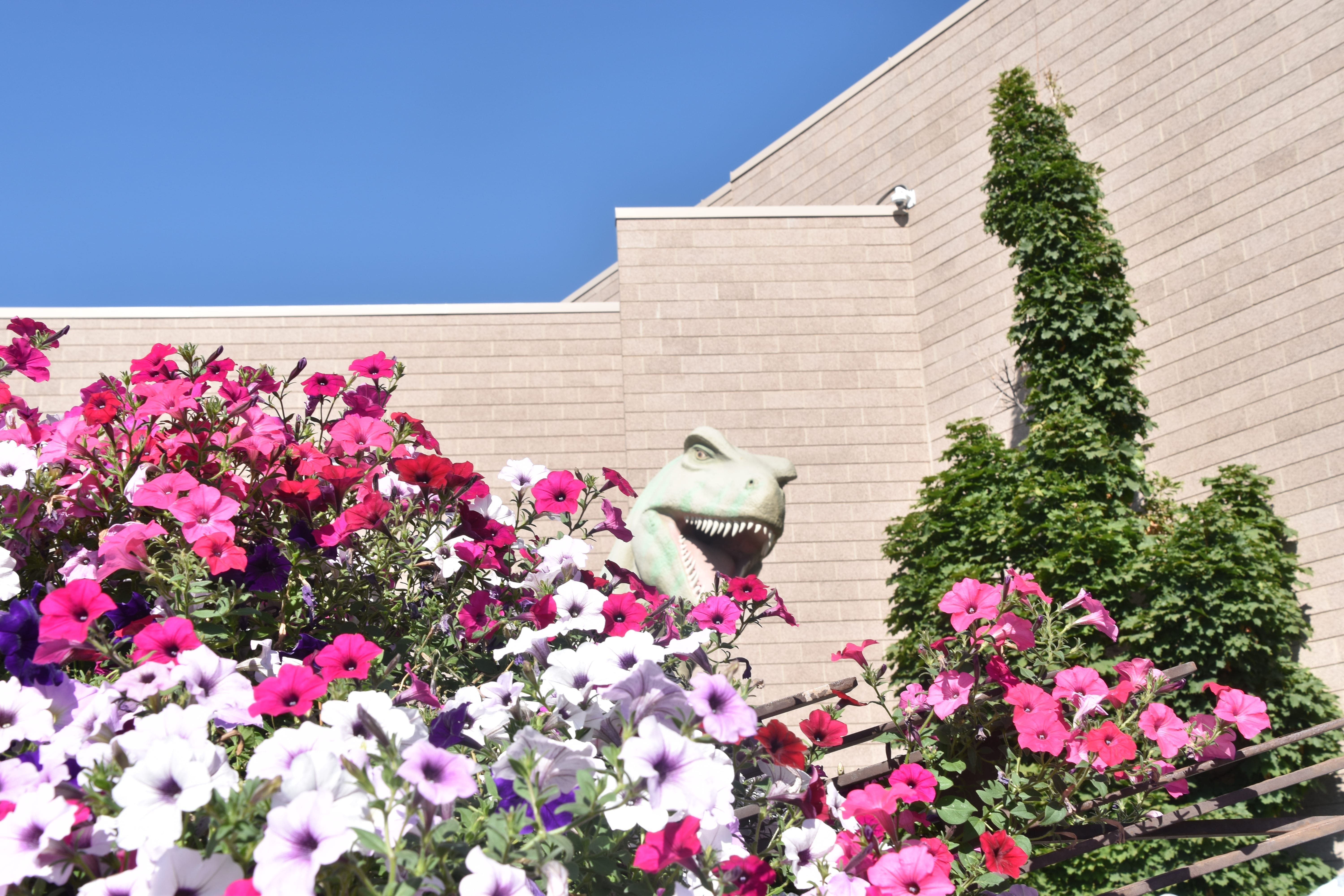 20 Fun Things To Do In Vernal Utah For Families – Planning Away