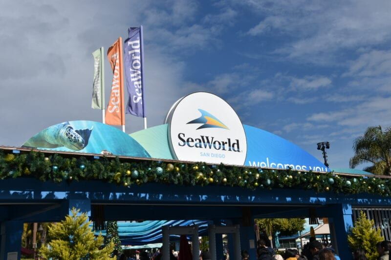 17 Best Rides At SeaWorld San Diego – Planning Away