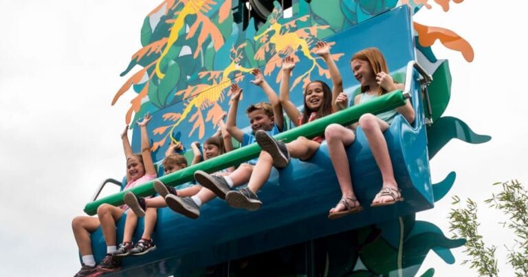 17 Best Rides At SeaWorld San Diego – Planning Away