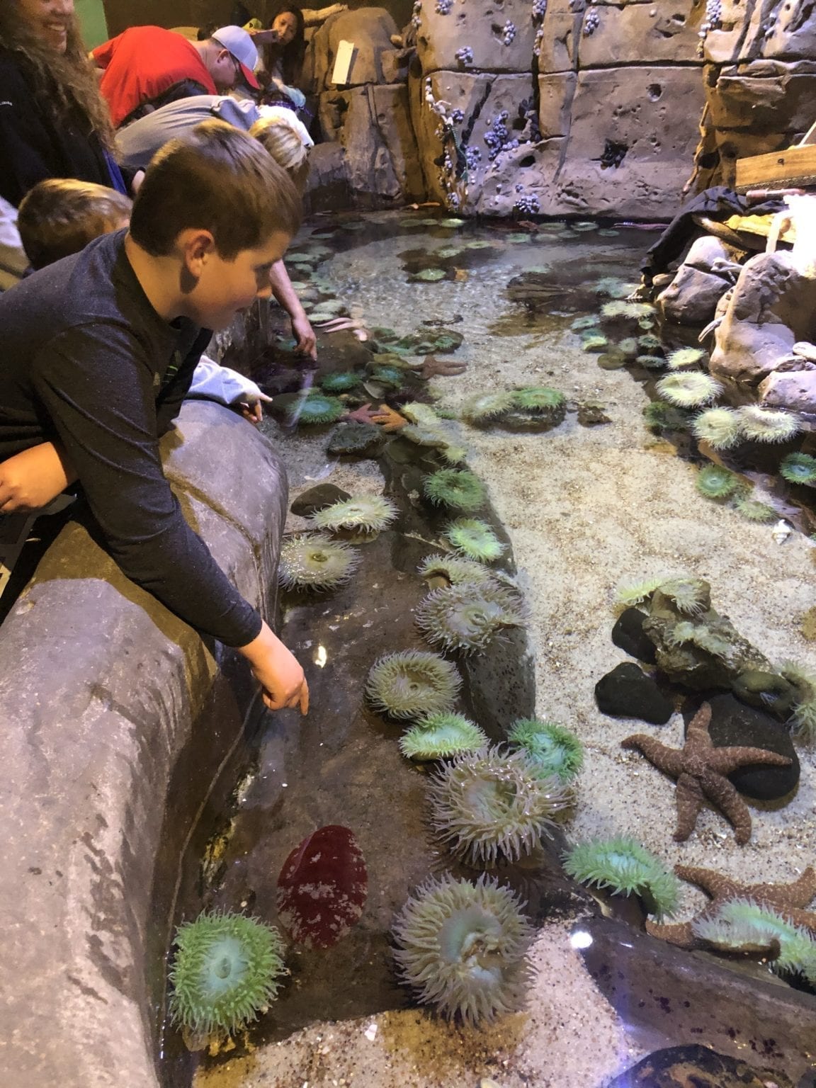 25 Awesome Utah Spring Break Ideas! (Plan a Spring Break in Utah ...