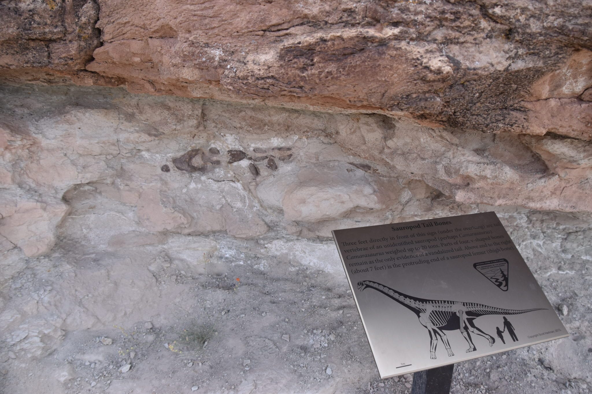 Planning A Trip To Moab Utah With Kids (15 Best Things To Do in Moab ...