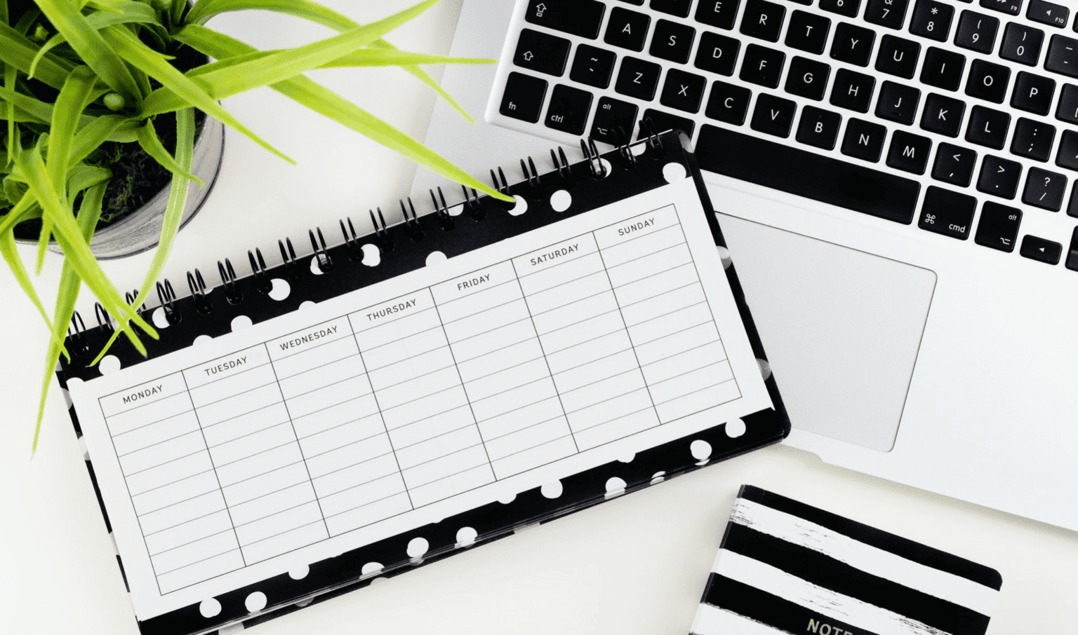 9 Tips On How to Plan A Family Reunion! – Planning Away