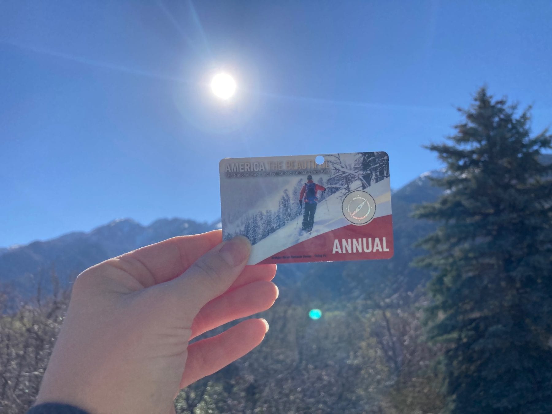 Utah National Park Road Trip Itinerary For Families (A Guide To The ...