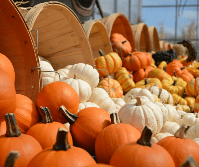 Utah In the Fall (45 Best Utah Fall Activities For Families) – Planning ...