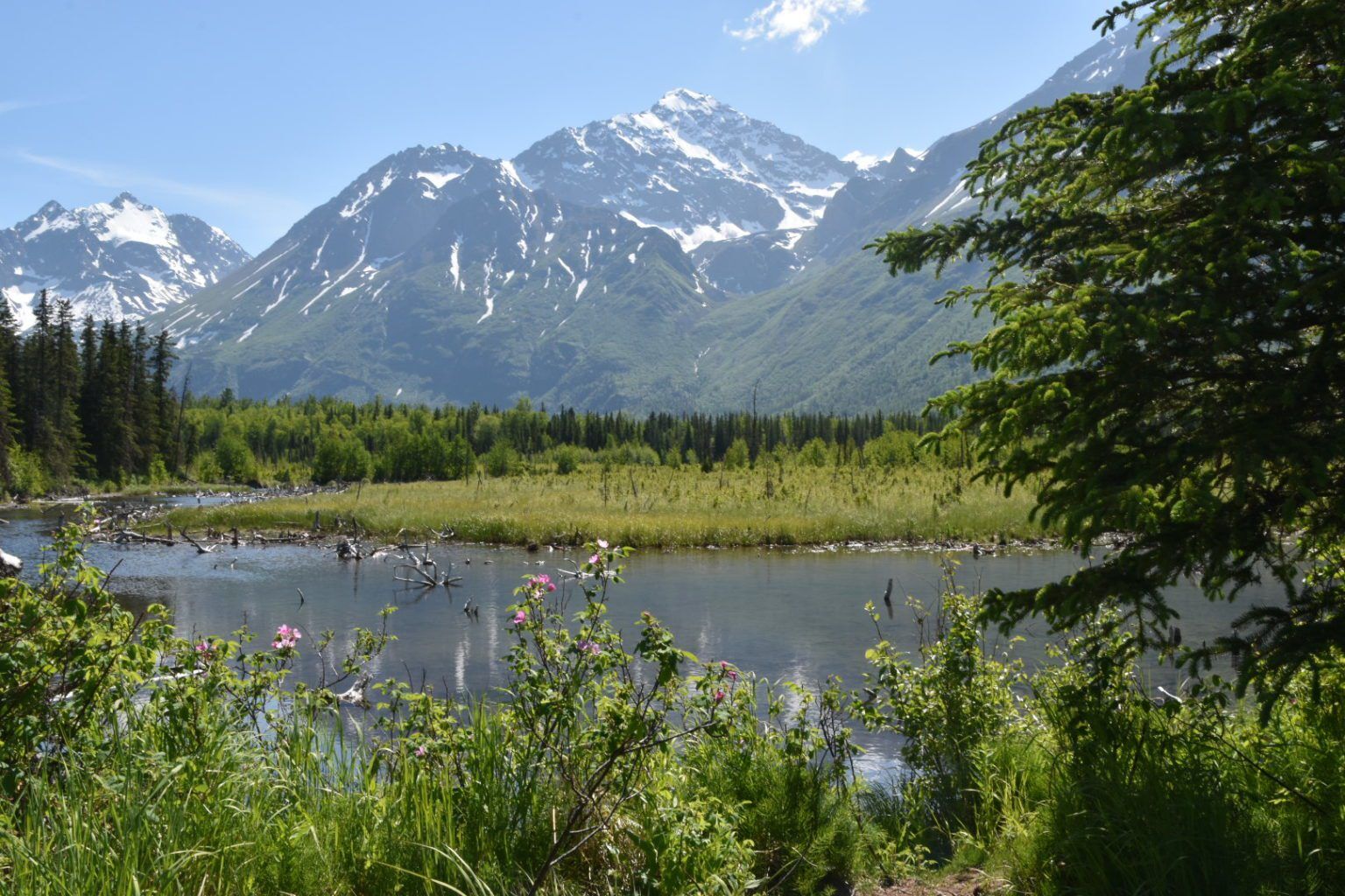 20 Fun Things To Do In Anchorage With Kids - Alaska Adventure ...