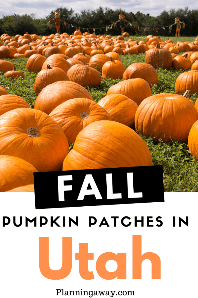 The Best Pumpkin Patches in Utah For Families (It's Fall Y'all ...