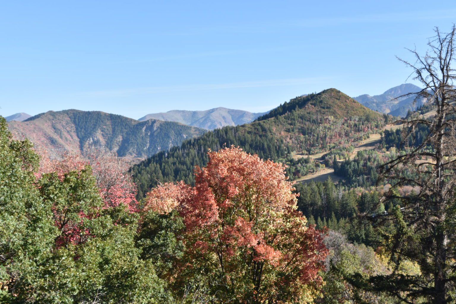 15 Best Fall Drives in Utah (See The Fall Colors in Utah!) – Planning Away