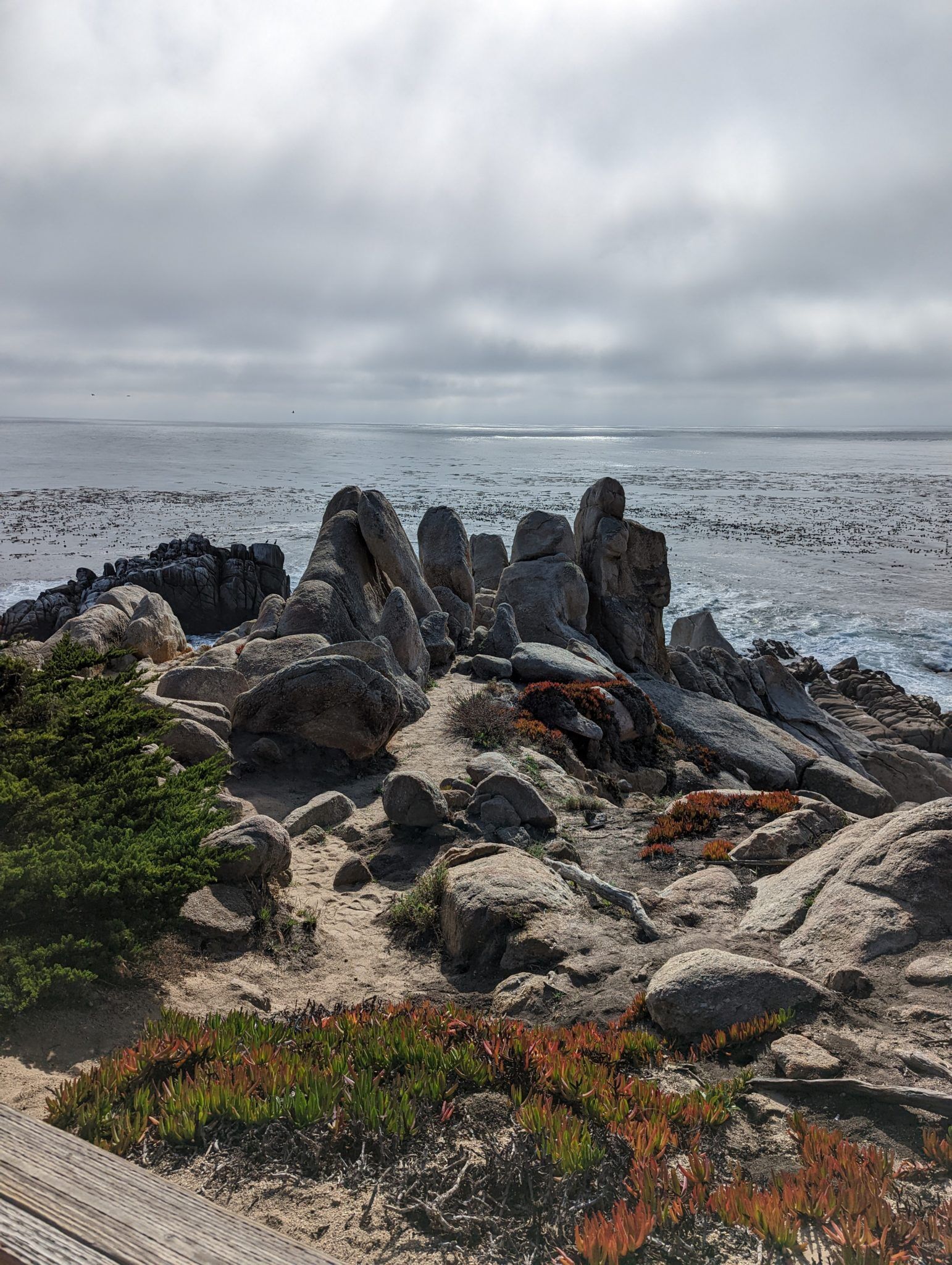 The Best 17-Mile Drive Stops (Monterey to Carmel) – Planning Away