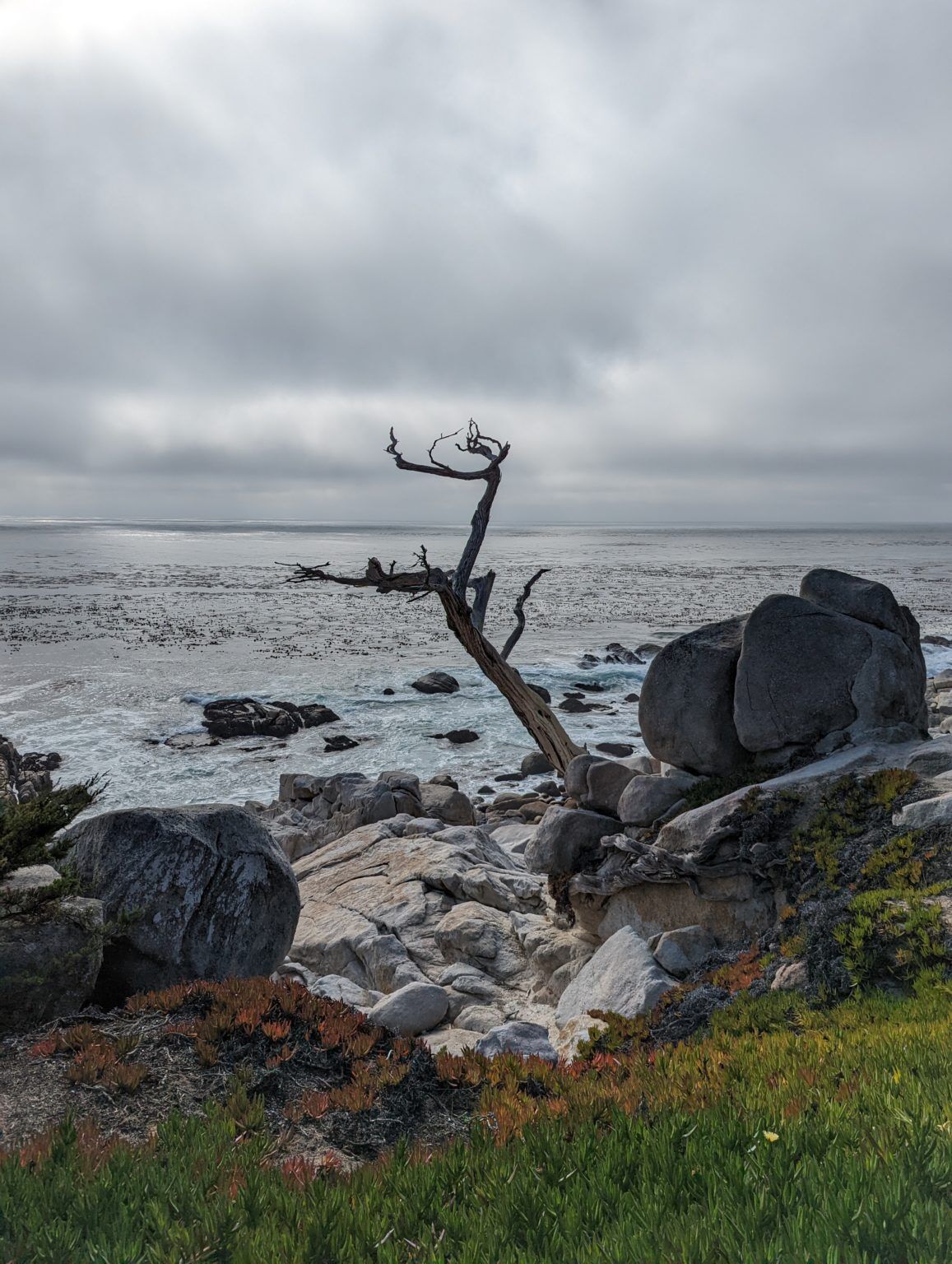The Best 17-Mile Drive Stops (Monterey to Carmel) – Planning Away