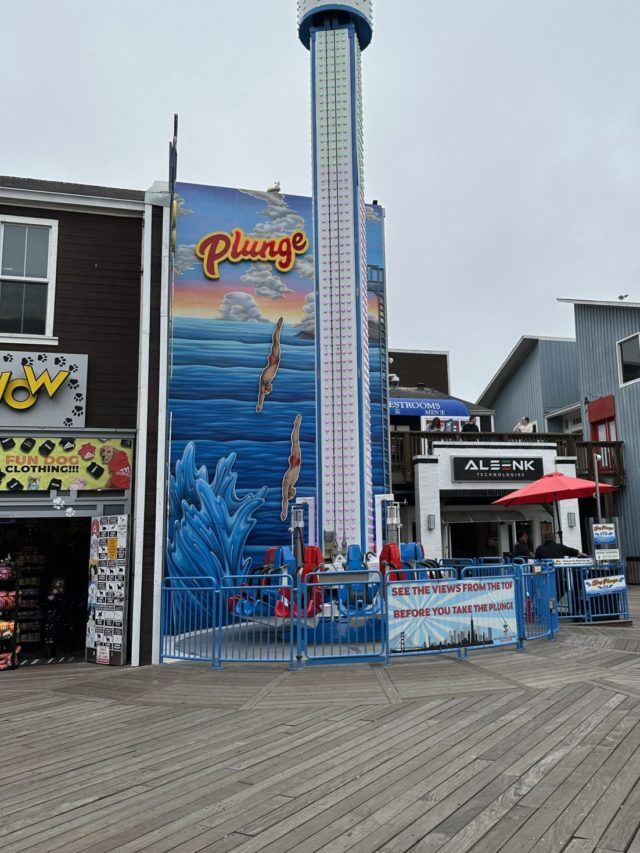 Fun Things To Do On Pier 39 With Kids (Best Pier 39 Attractions ...