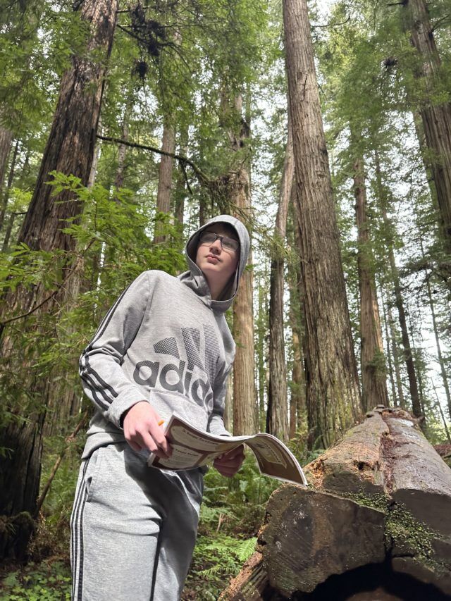 Visiting Redwood National Park With Kids (Let's Plan the Best Redwood ...