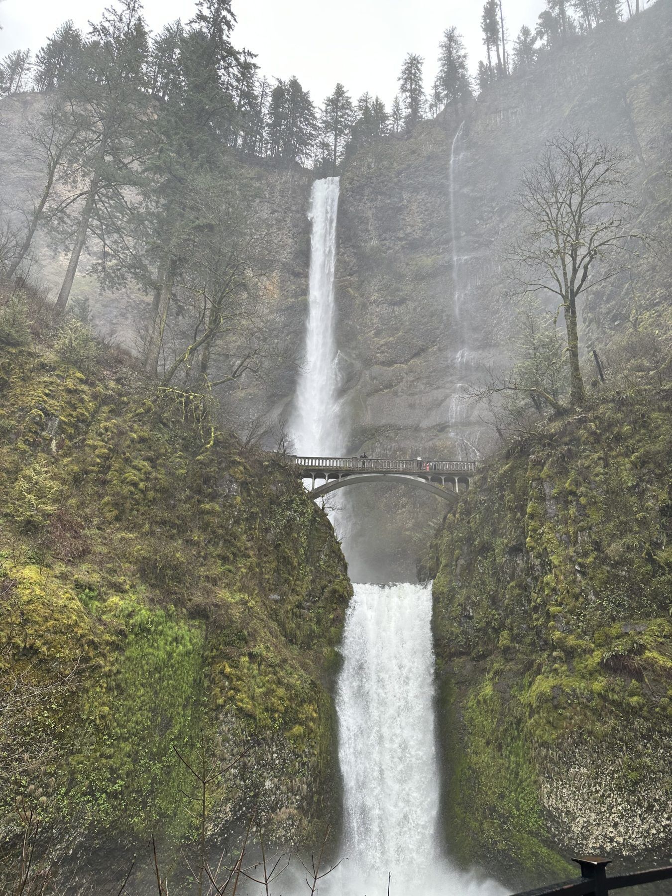Visit Multnomah Falls In Oregon (Best Multnomah Falls Tours For ...