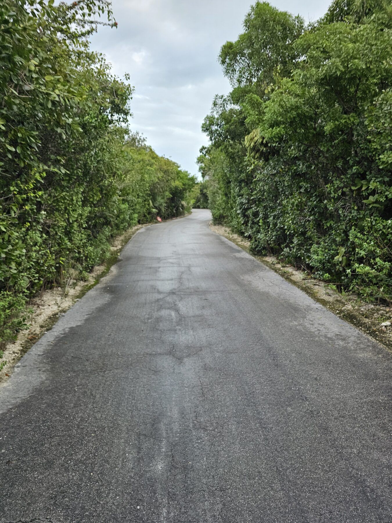 Disney's Castaway Cay 5K (Guide To Plan The Best Race) – Planning Away