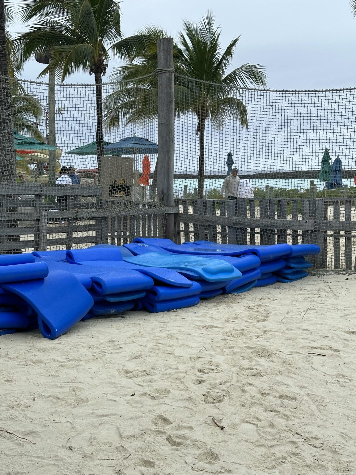 24 Fun Things To Do On Castaway Cay For Families (Disneys Private ...