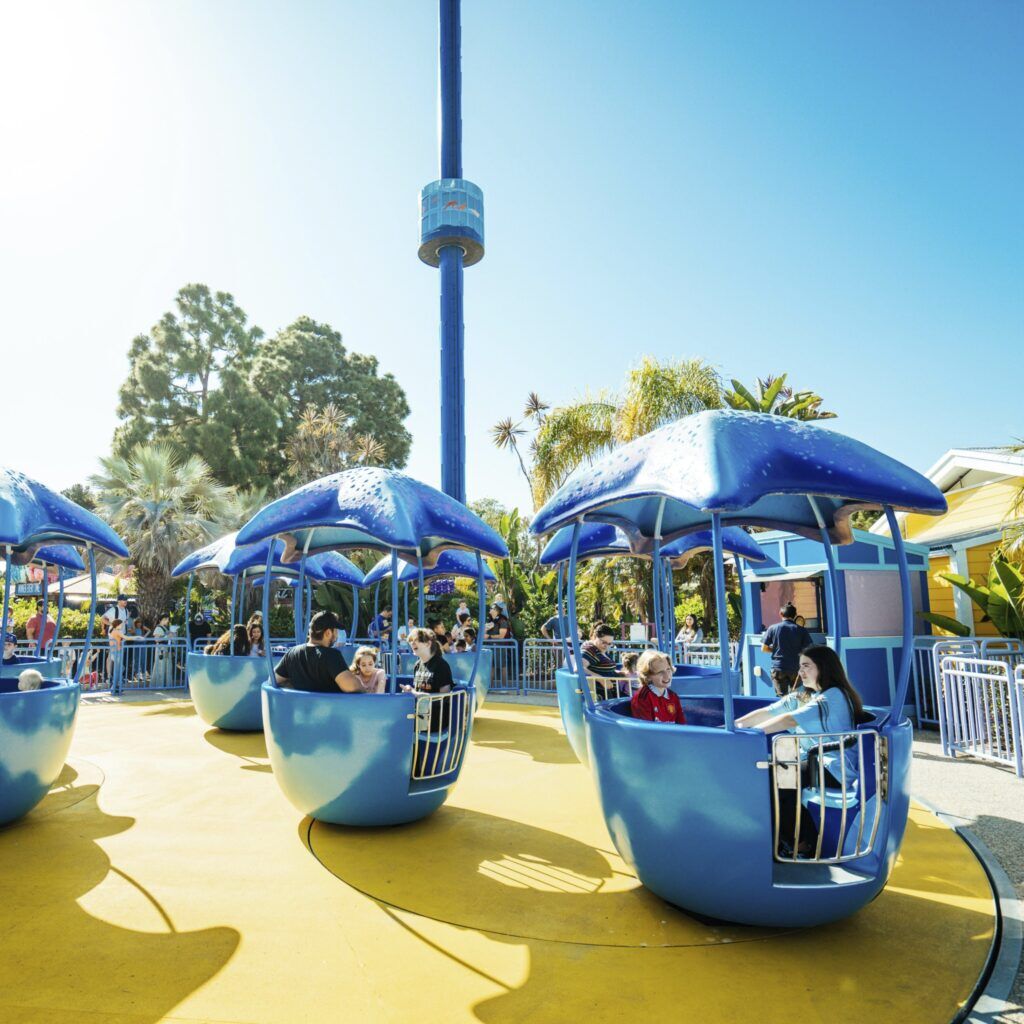 17 Best Rides At SeaWorld San Diego – Planning Away