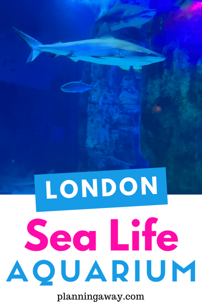 Best Aquarium in London (Sealife London Review) – Planning Away